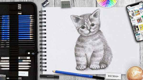 How to Draw a Kitten: National Kitten Day – shop.nil-tech