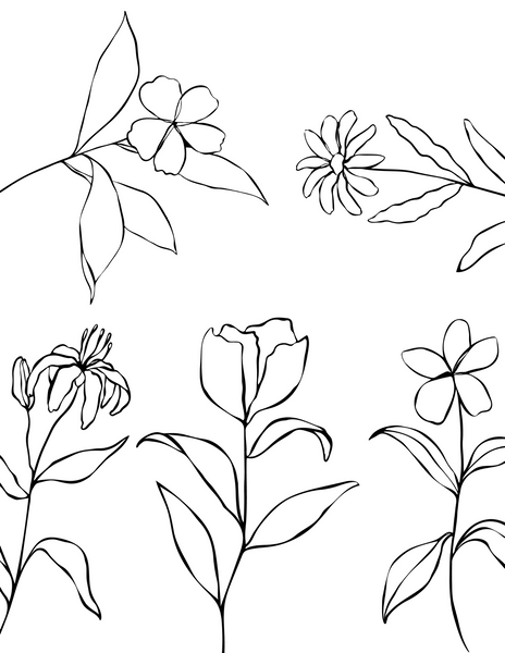 Printable (Digital) Flowers Coloring Pages: BlossomArt Coloring Collec ...